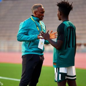Mentorship from an Assistant Coach: A Nigerian Tale